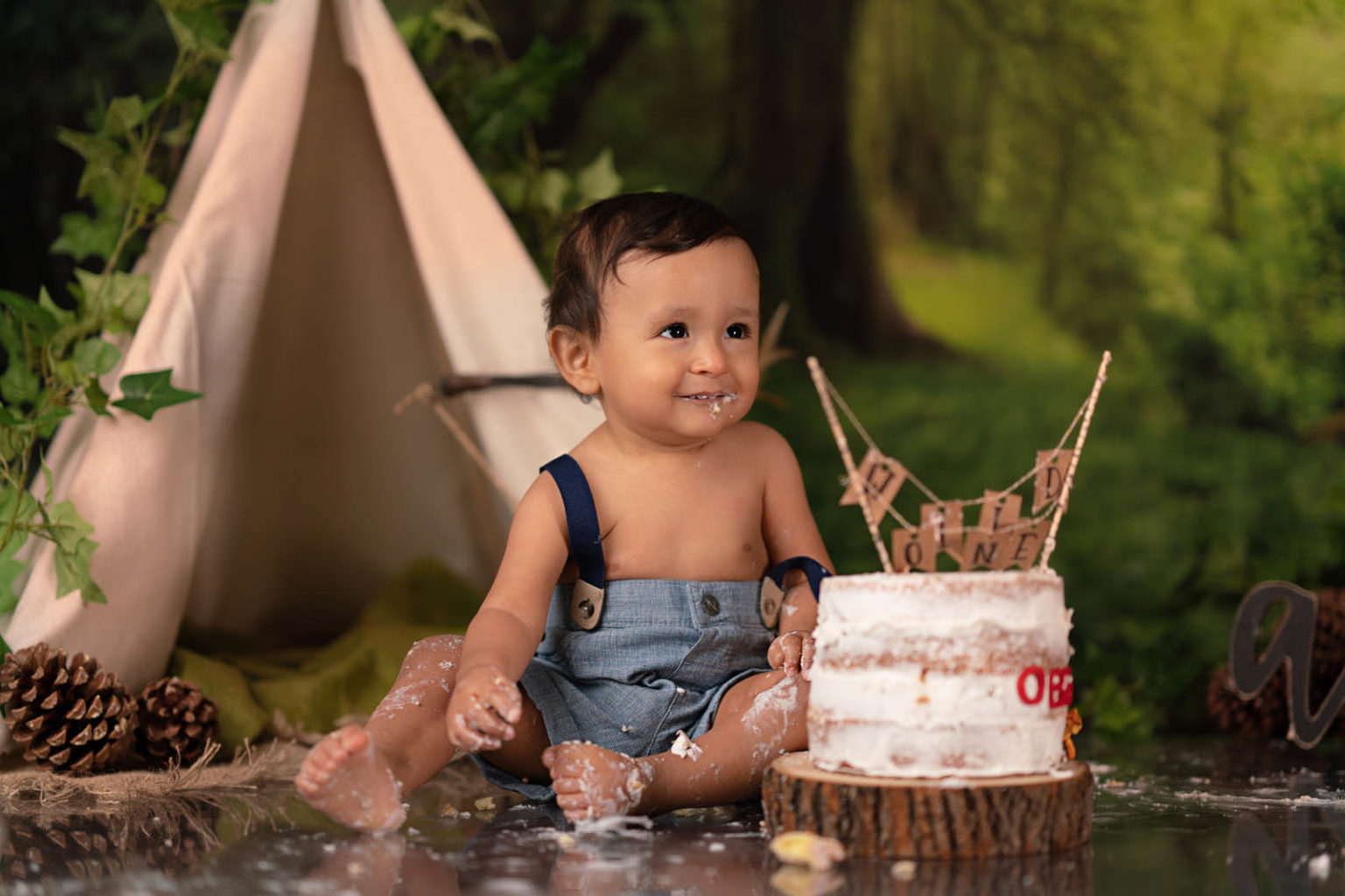 Top 5 Most Popular Cake Smash Themes | SteinArtStudio Photography ...